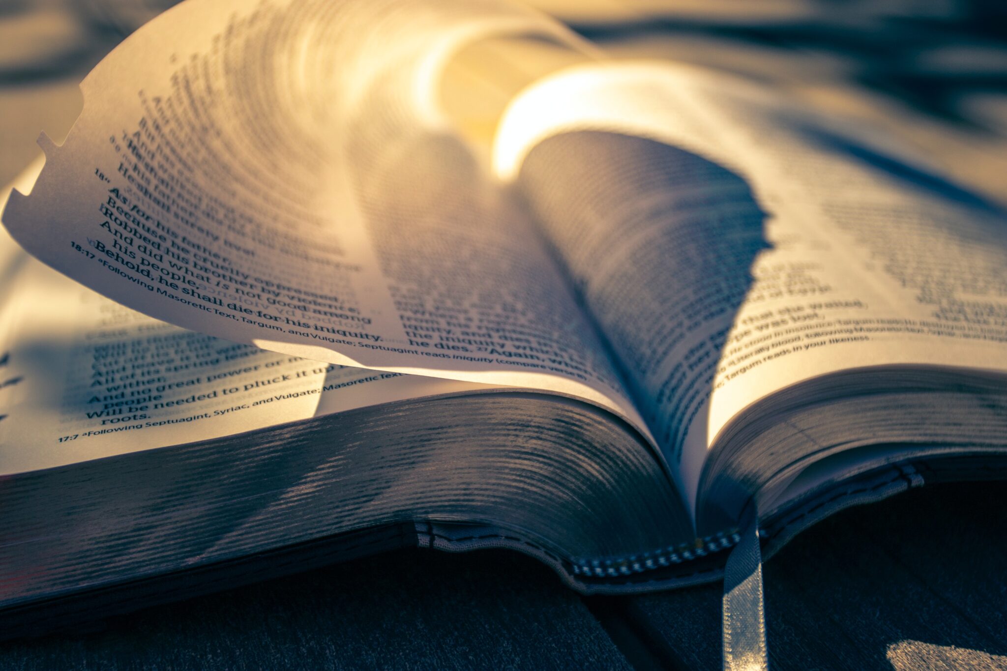“Mi Palabra no volverá vacía”: Un estudio de Isaías 55:11 – PrMendoza
